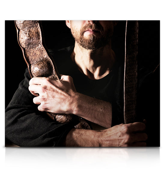 Interview with BBC and National Geographic Composer David Oliver ...